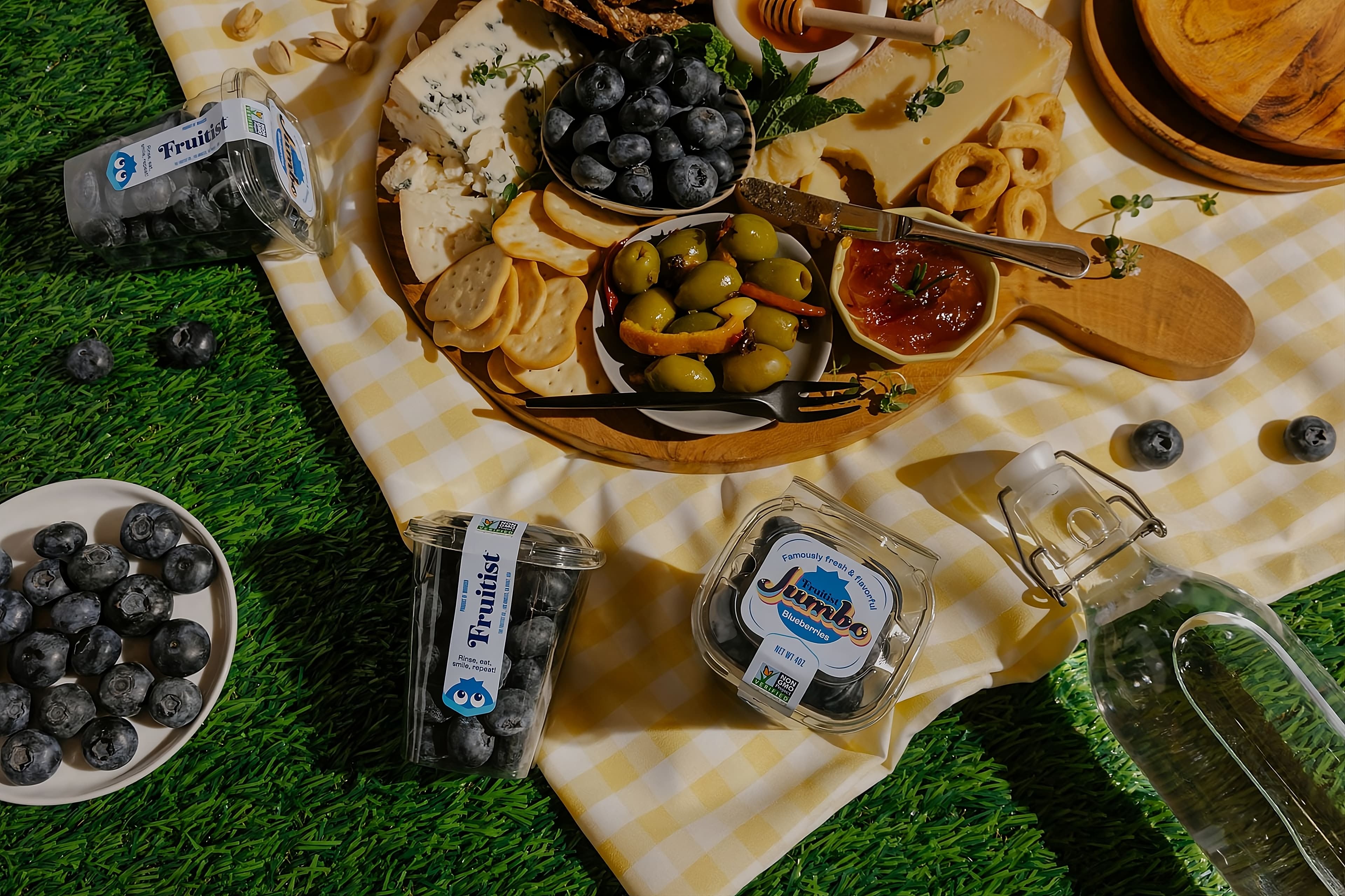 PCG-AGRO | AGROVISION CORP